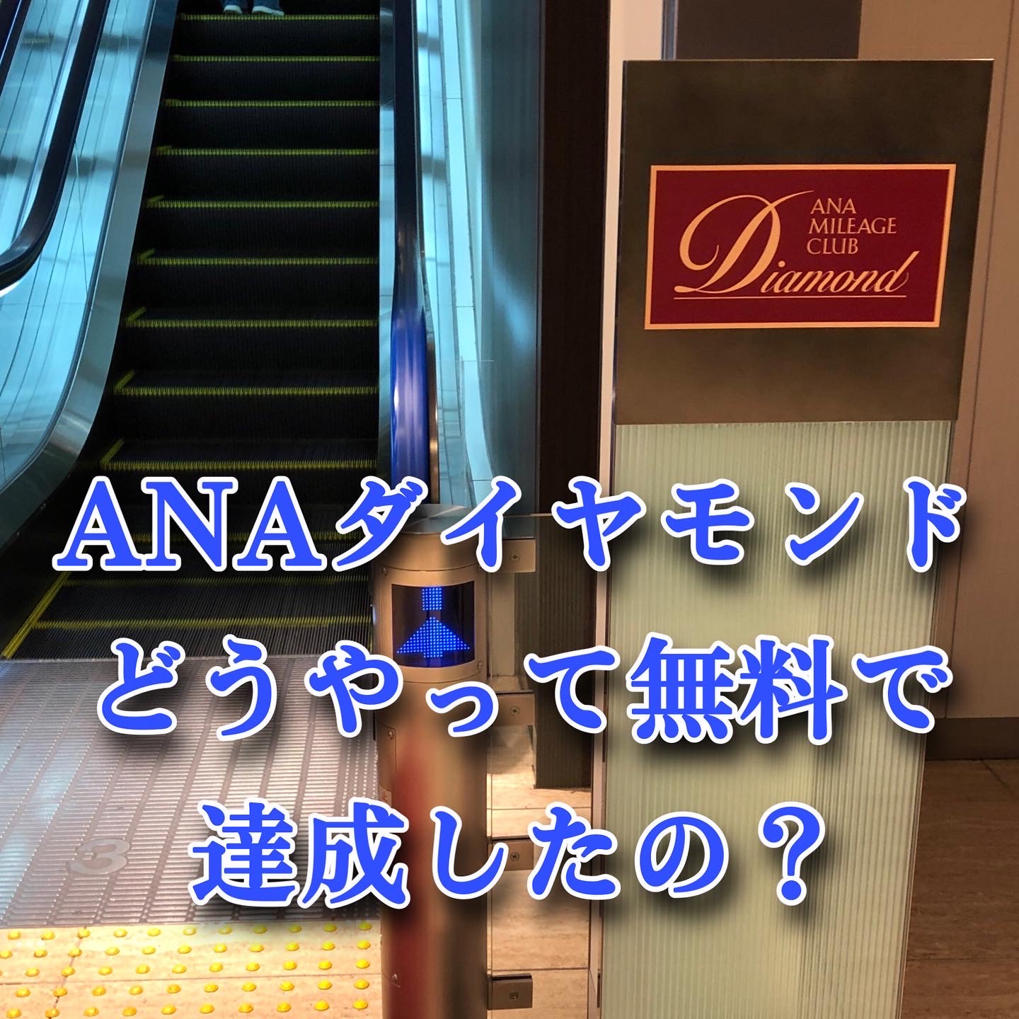 ANAダイヤモンドをほぼ無料で達成 | For Libertyスタッフ⭐︎空飛ぶ眼鏡屋だいしんのマイル修行記